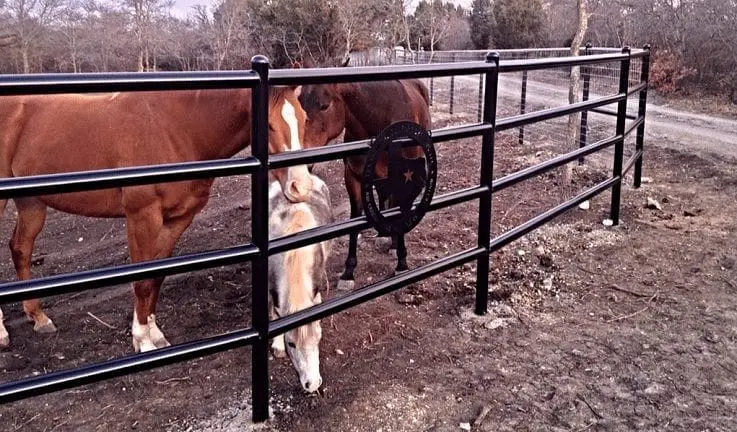 Fencing in Success: How Livestock Fencing Can Revolutionize Your ...